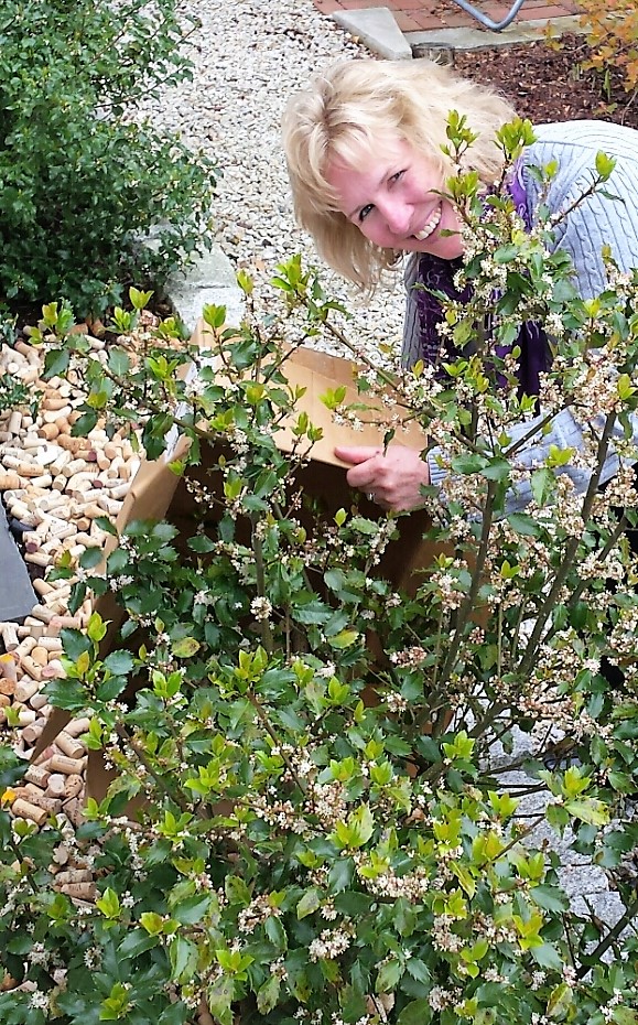 Wine Cork Garden