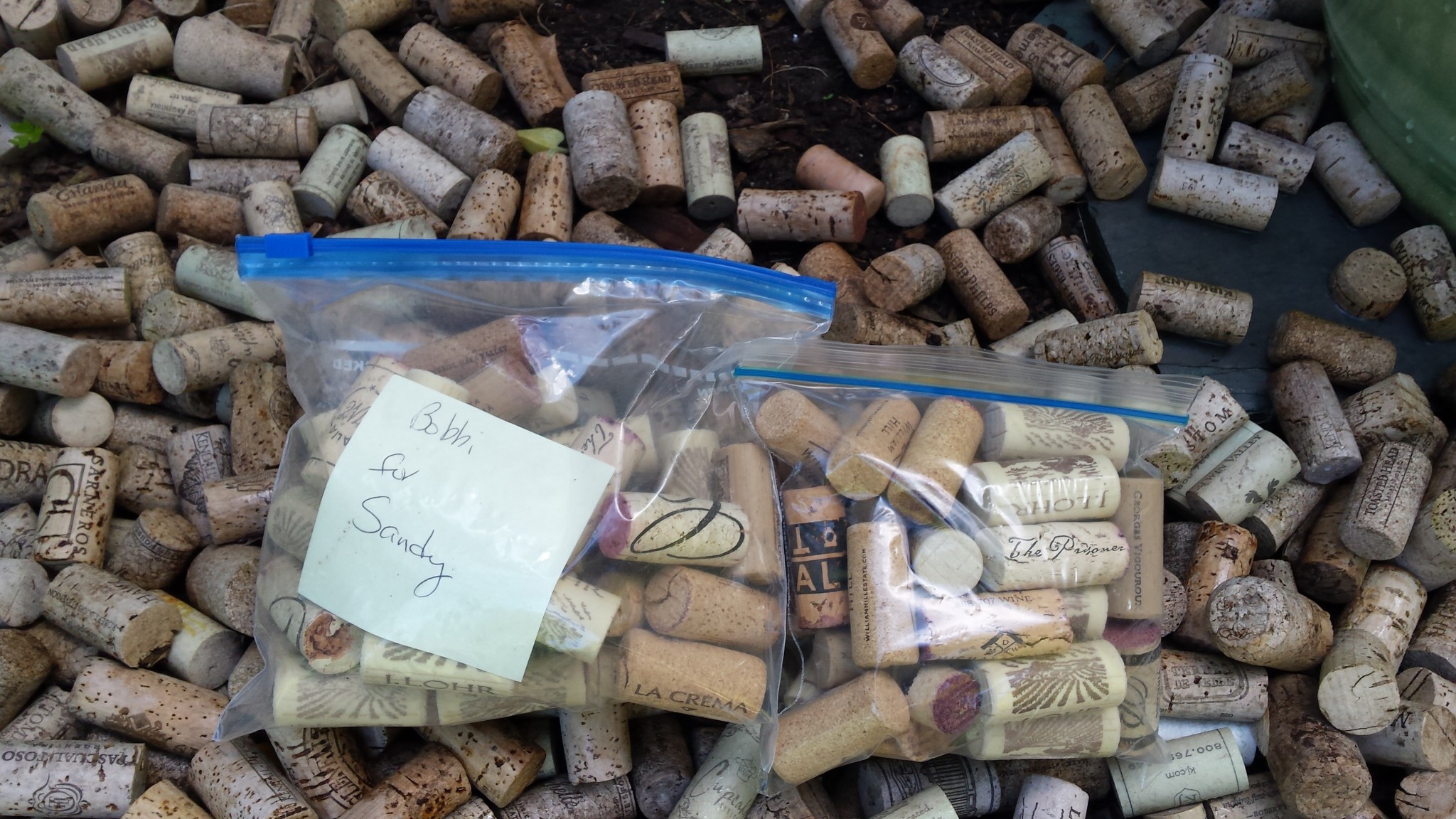 How 10,000 Wine Corks Ended Up in My Garden | Garden with Grace